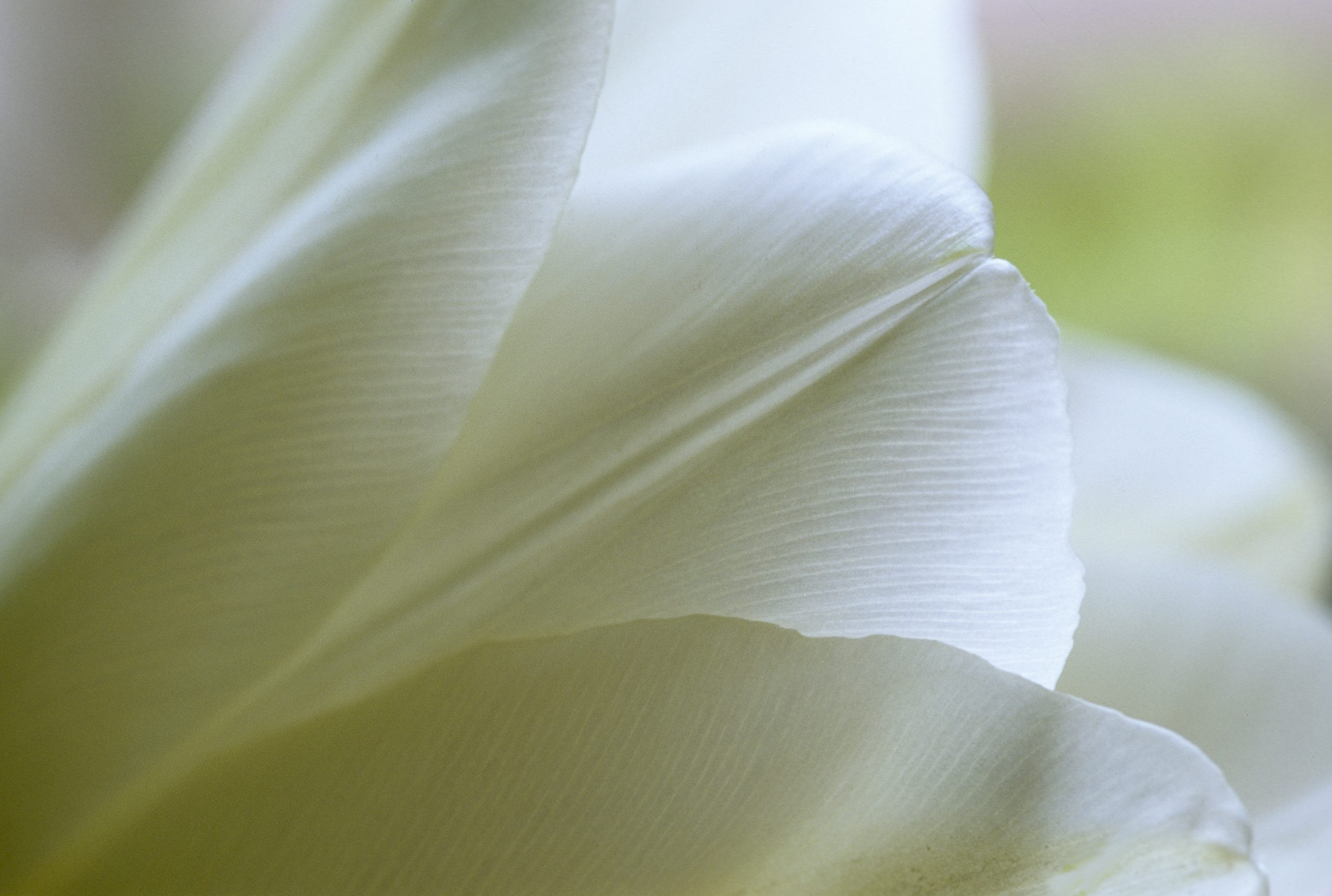 When God is Silent - Hope Has Arrived